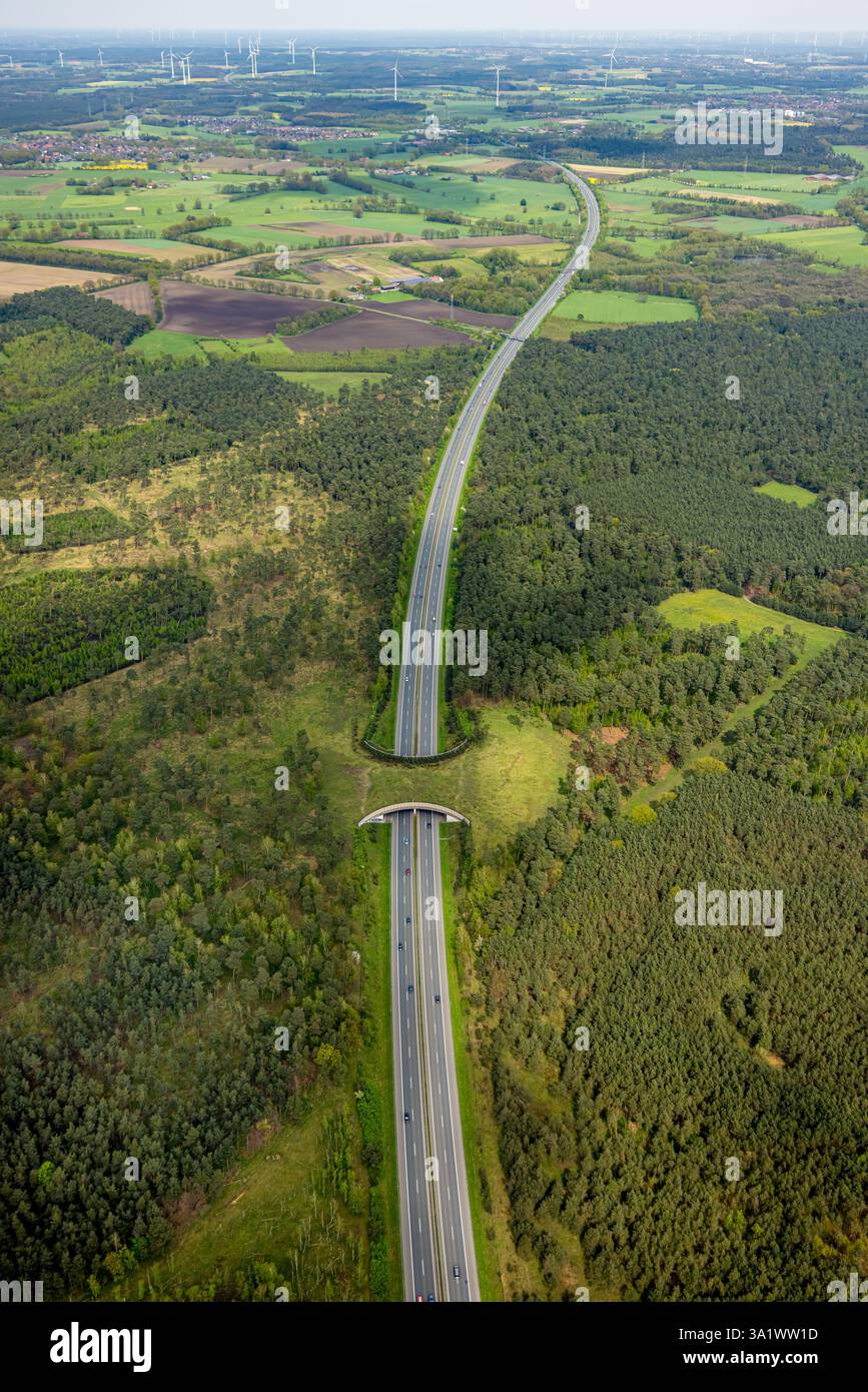 Aerial view, forest area Üfter Mark, highway A31 with green bridge or ...