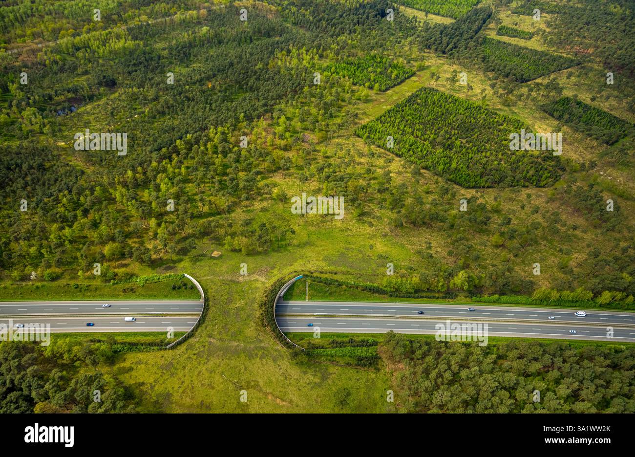 Aerial view, forest area Üfter Mark, highway A31 with green bridge or ...