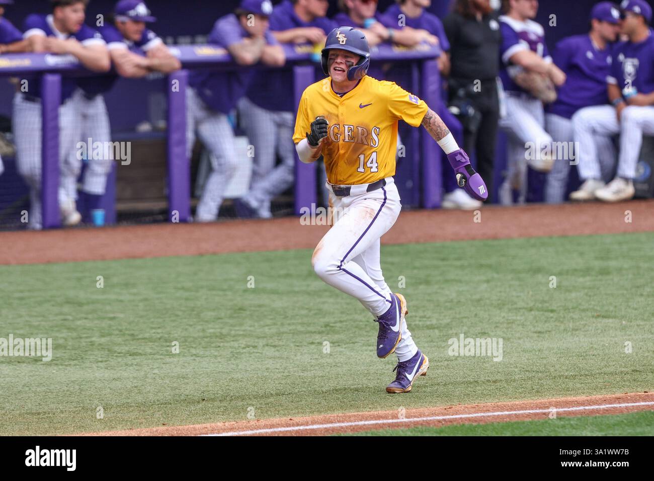 Baton Rouge, LA, USA. 9th Mar, 2025. LSU's Daniel Dickinson (14) runs ...