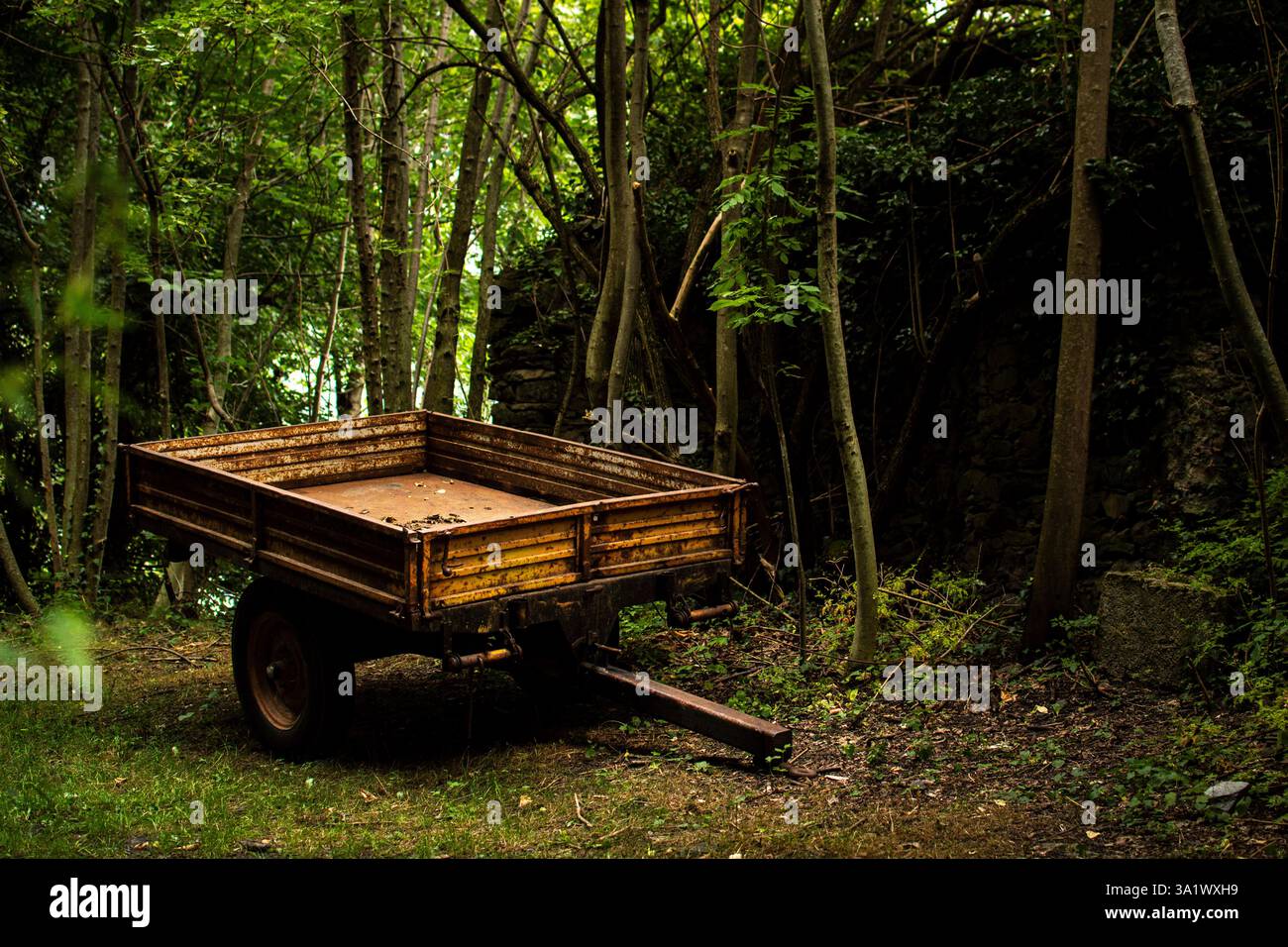 A forgotten farm trailer left in the woods, covered in rust and fallen leaves. A symbol of time ...