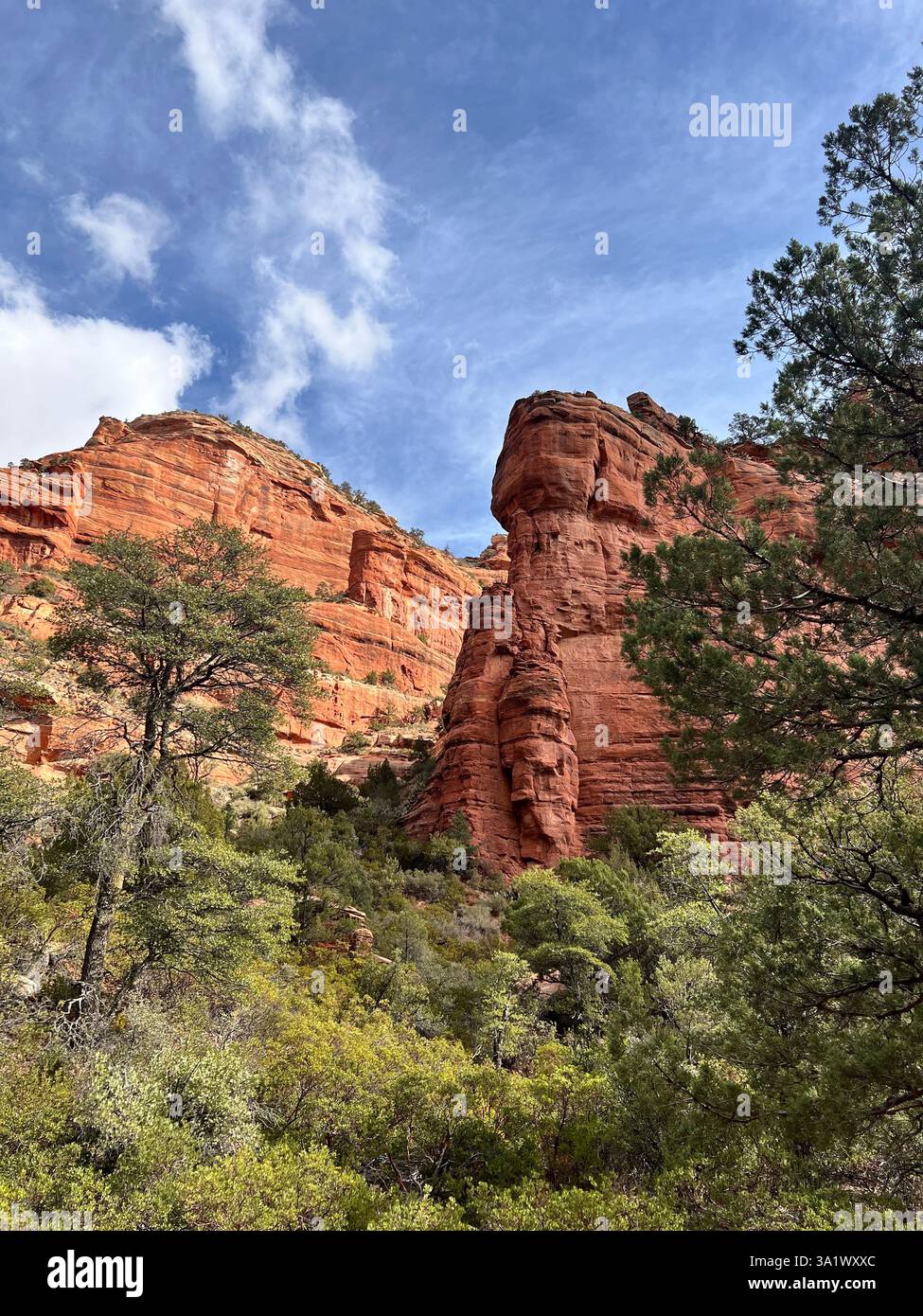 Green canyon natural beauty smartphone stock photos and images - Alamy