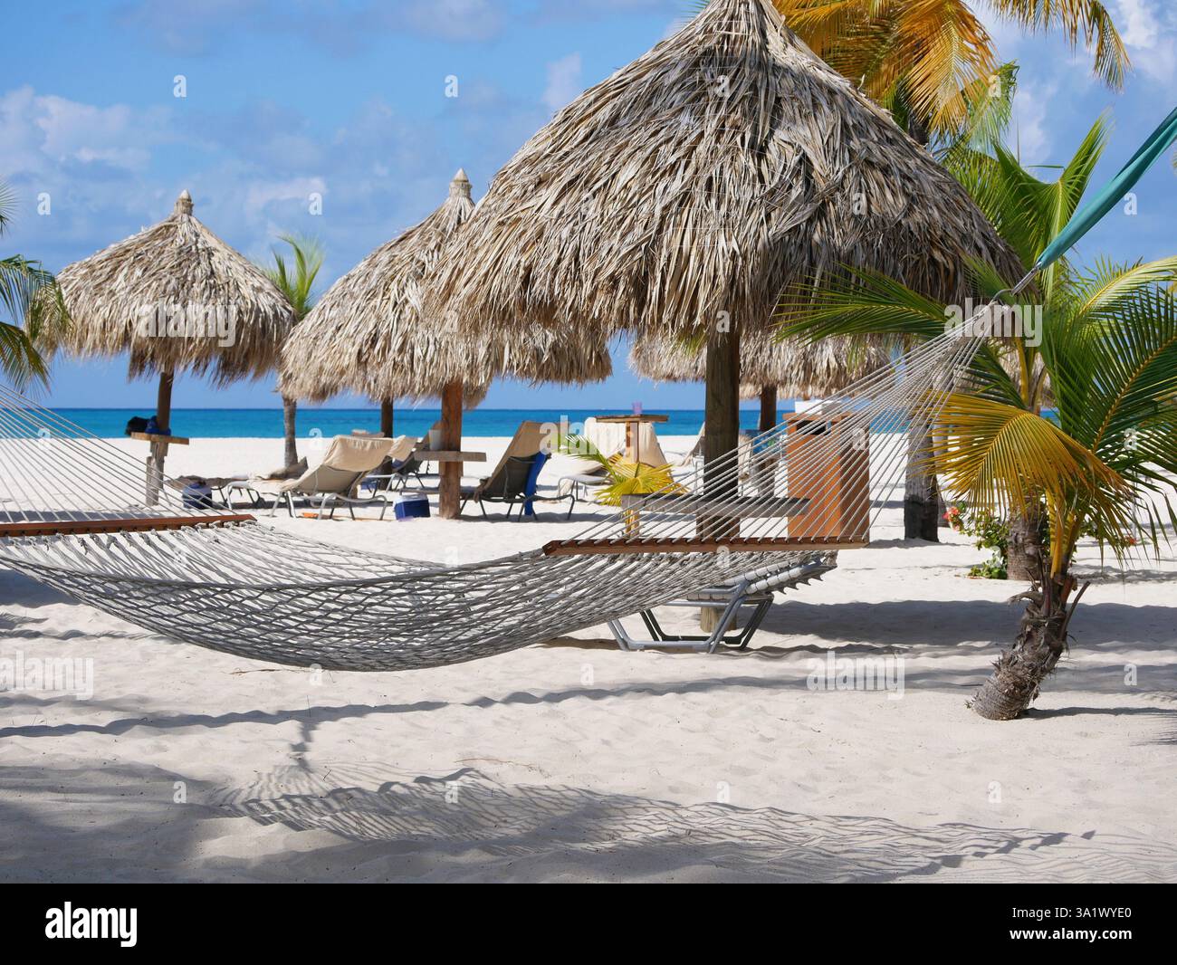 Organized tropical beach resort with sun loungers, hammock and thatch ...