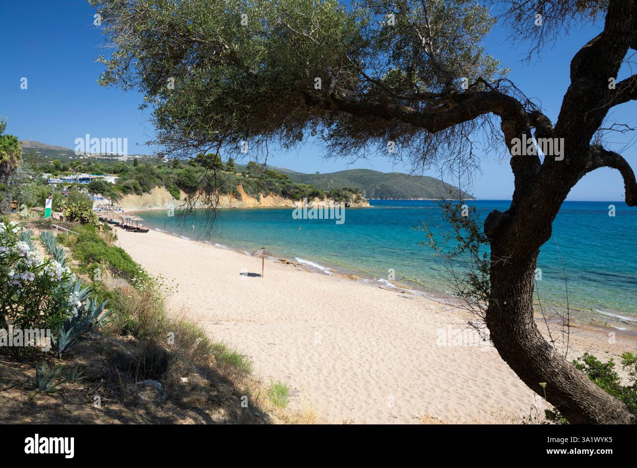 White sand beach with clear turquoise sea, Finikounda, Messenia ...