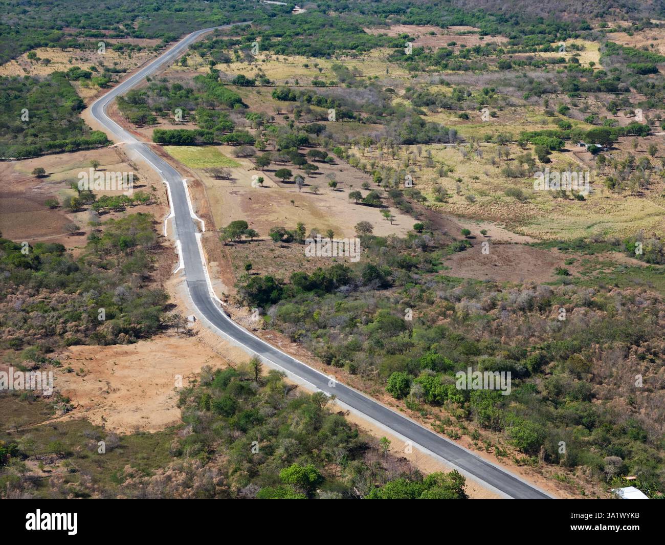 Winding road stretches through lush green fields and sparse vegetation ...