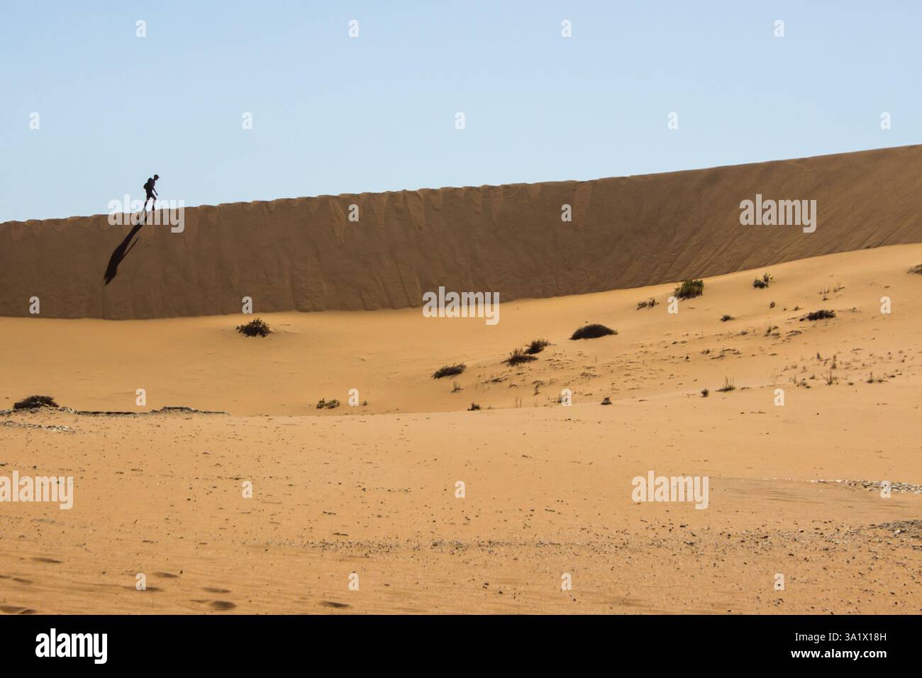 Big daddy duine hi-res stock photography and images - Alamy