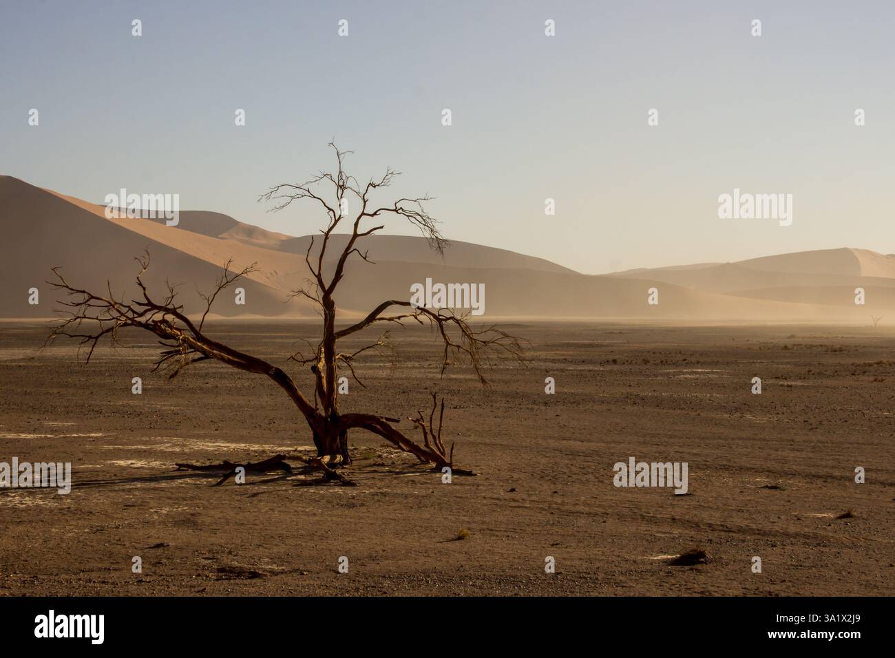 Strait between dunes hi-res stock photography and images - Alamy