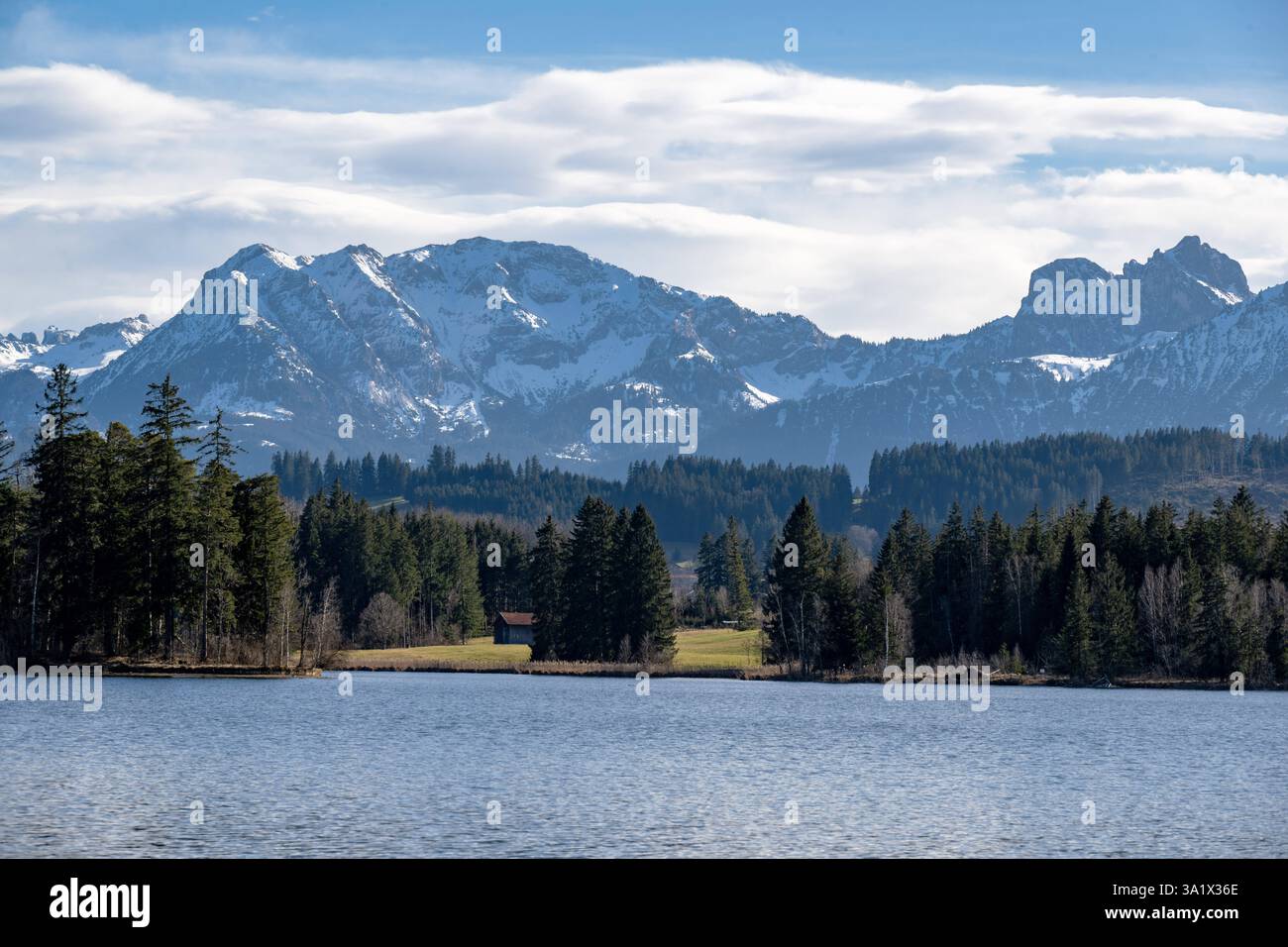 Schwaltenweiher Ein Badesee als Naturfreibad, vor der Bergkulisse ...