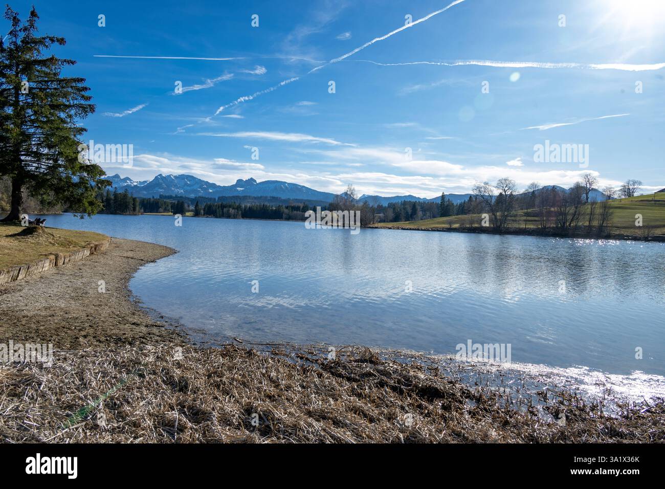 Schwaltenweiher Ein Badesee als Naturfreibad, vor der Bergkulisse ...