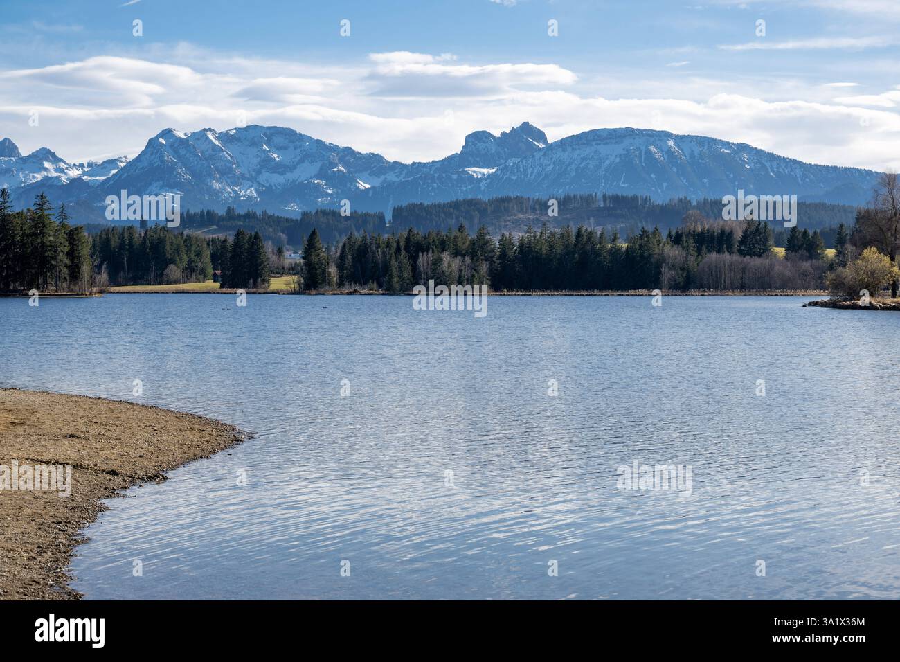 Schwaltenweiher Ein Badesee als Naturfreibad, vor der Bergkulisse ...
