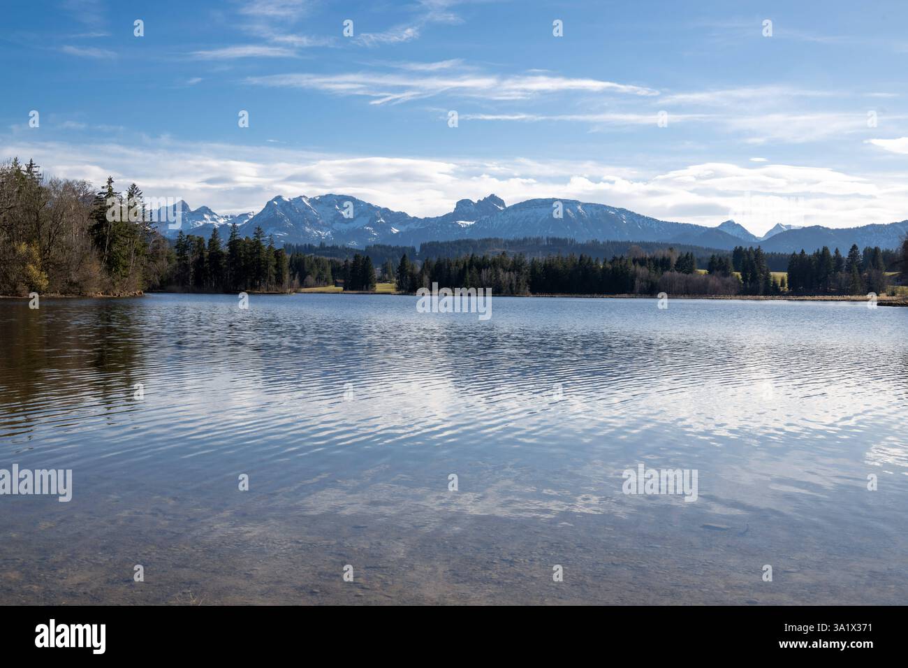 Schwaltenweiher Ein Badesee als Naturfreibad, vor der Bergkulisse ...