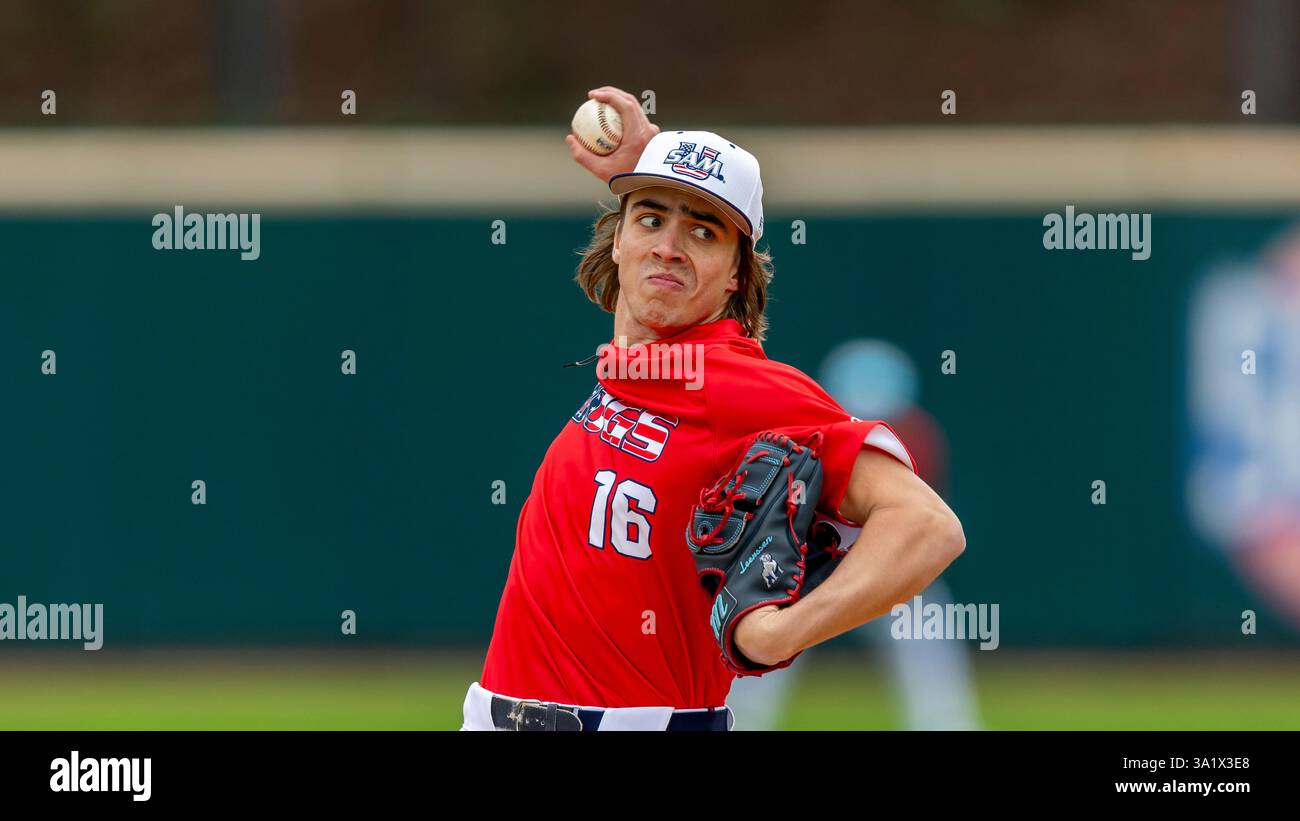 Samford pitcher Josh Leerssen (16) during an NCAA baseball game on ...