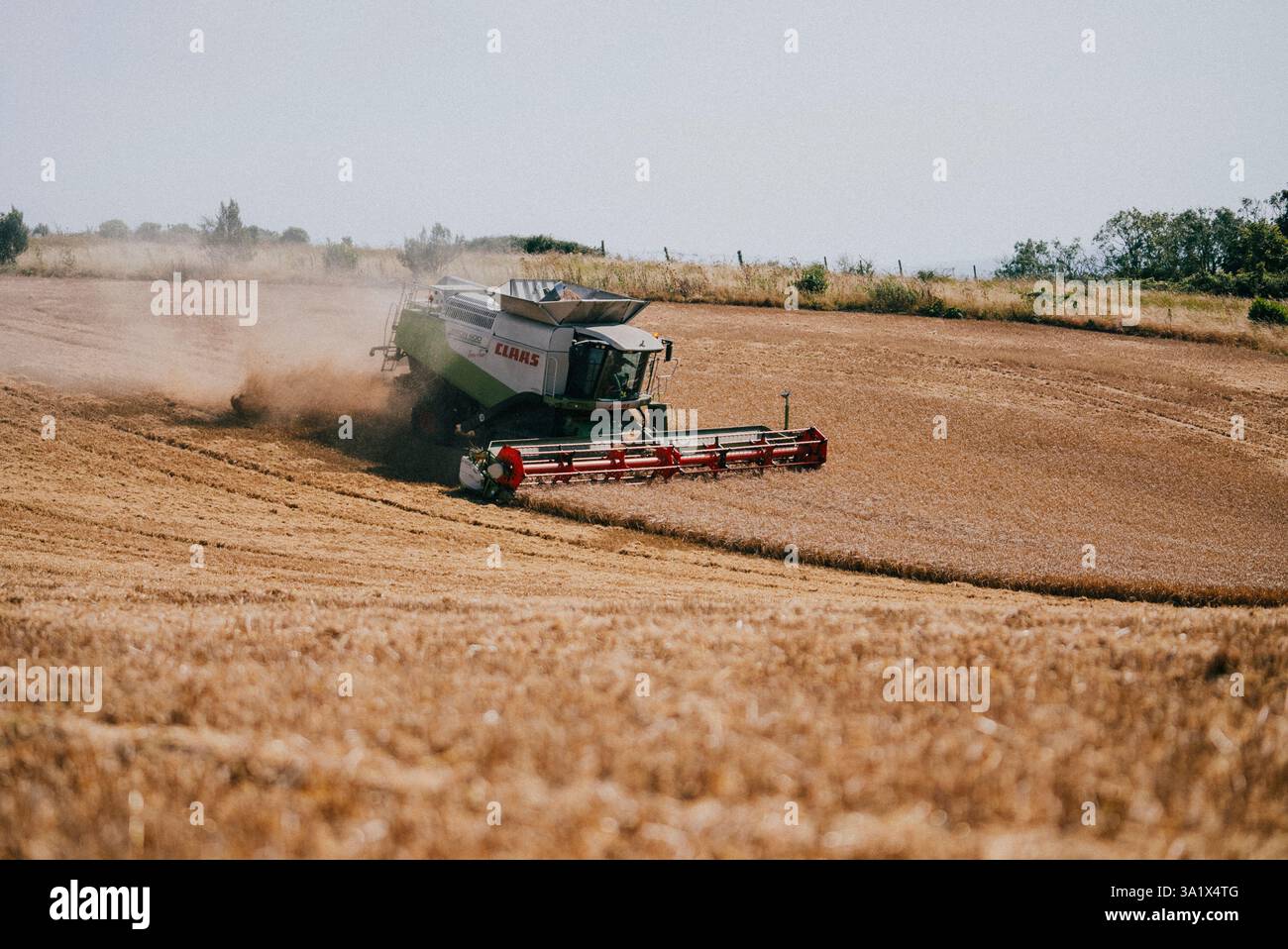 A large farm tractor is driving through a field of grain. The tractor ...