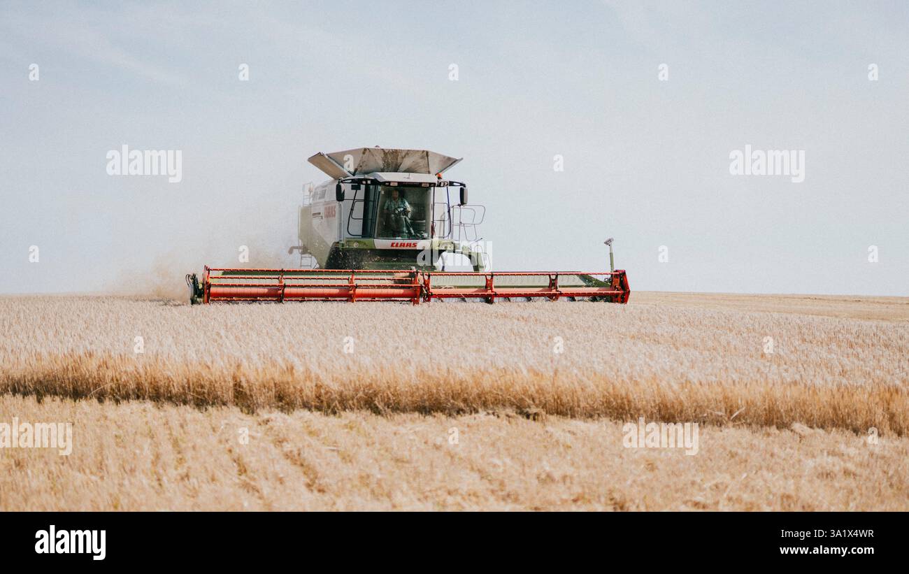 A large farm tractor is driving through a field of wheat. The tractor ...