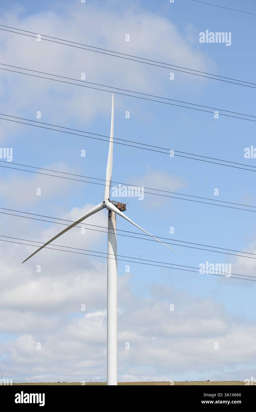 Windmill cables hi-res stock photography and images - Alamy