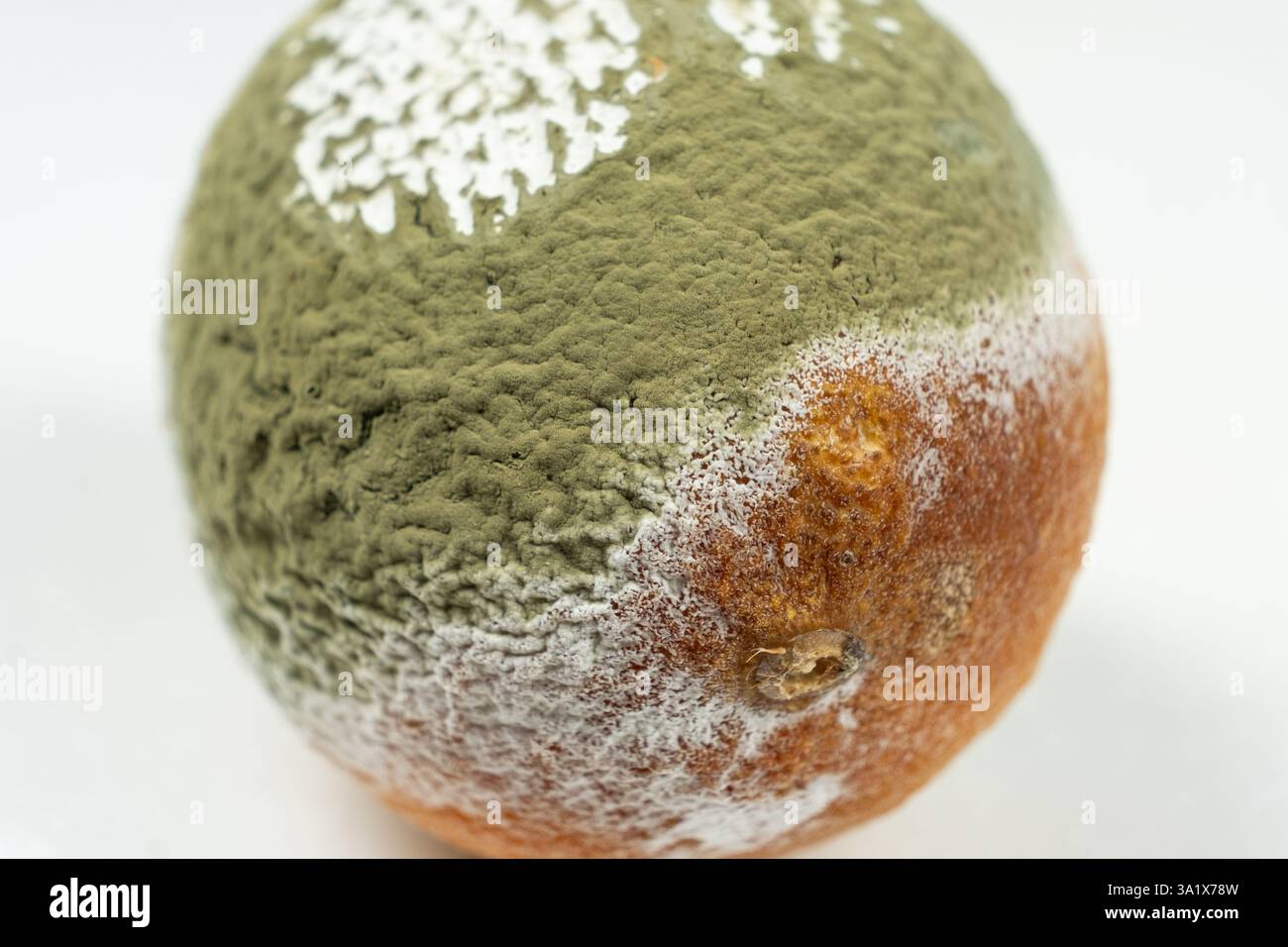Decay and Fungal Growth on a Lemon Surface Stock Photo - Alamy