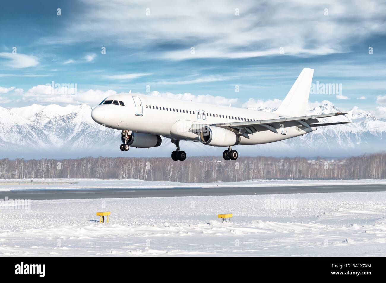 White passenger airliner landing at winter airport on the background of ...