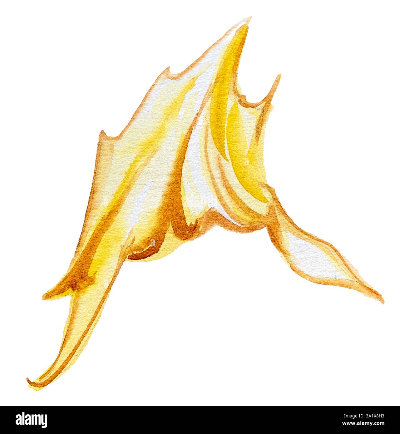 Fire isolated on white watercolor illustration. Flame painting. Fire ...