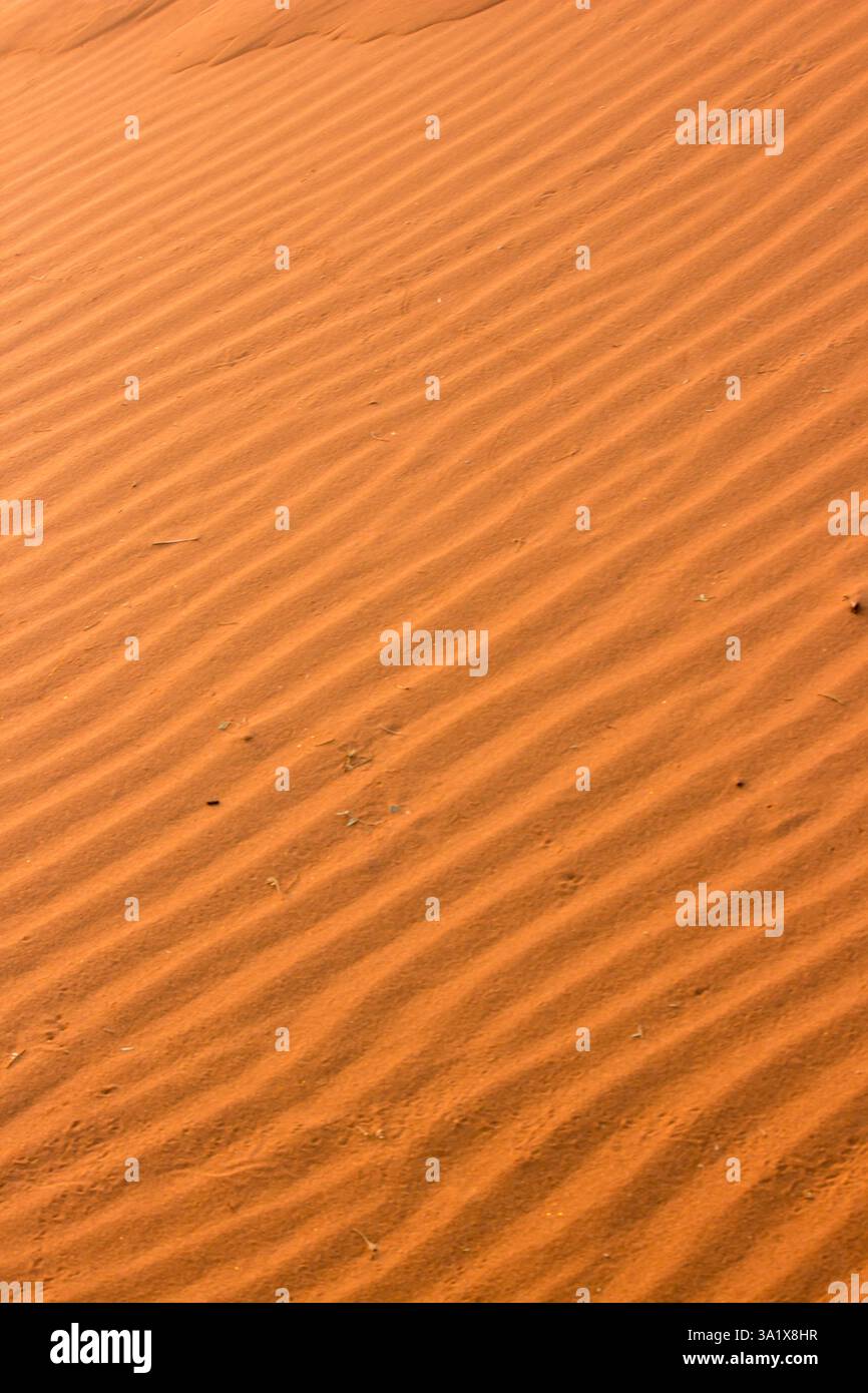Wind ripples in the sand in the red sands of a Namib desert dune in the ...