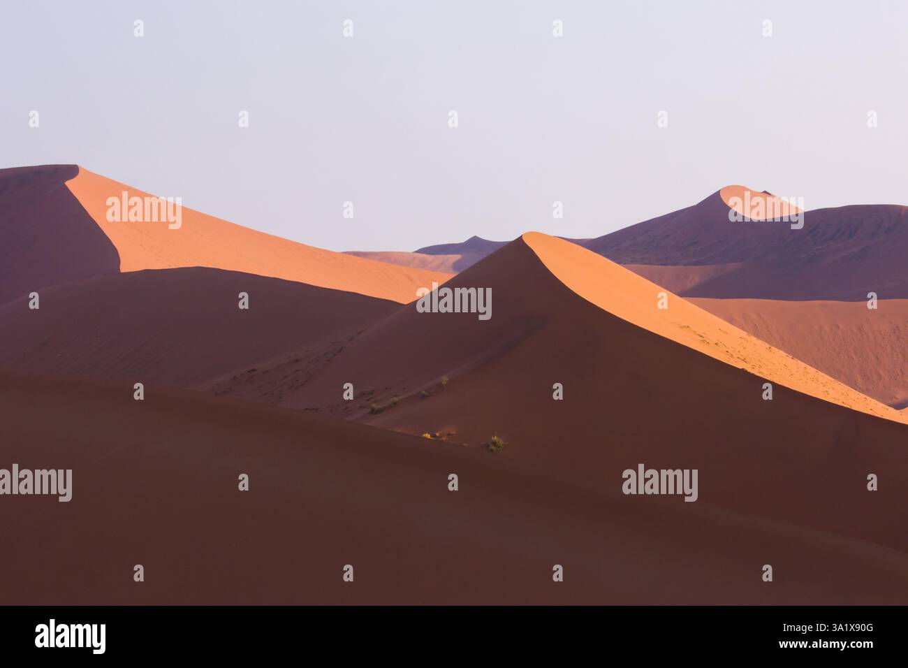 Epic Desert landscape filled with the vibrant reddish dune of the Namib ...