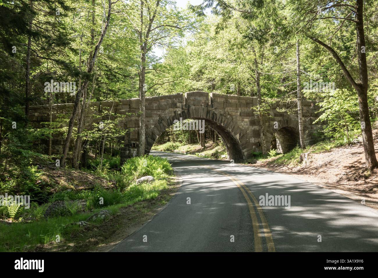 Road Curves Under The Stanley Brook Bridge in Acadia National Park ...