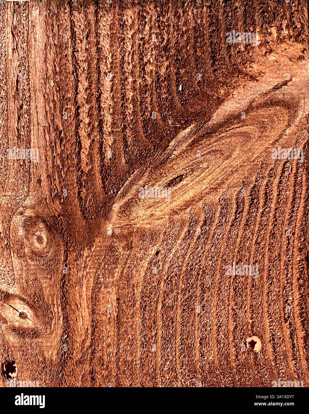 Wood grain patterns in a plank of wood in an old outdoor wood fence ...