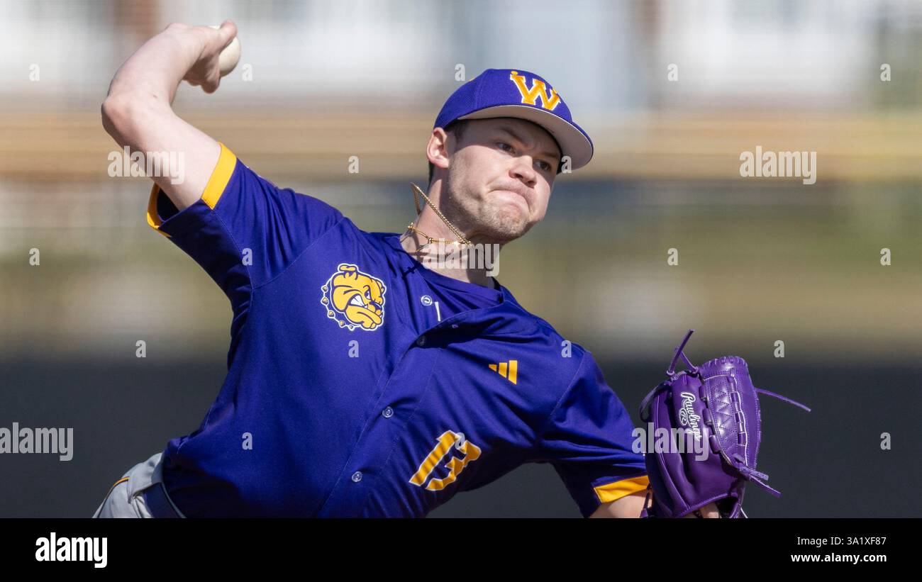 Western Illinois pitcher Jackson Rodgers (13) during an NCAA baseball ...