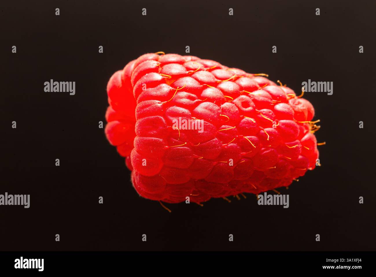 Extreme close-up of a raspberry with a glowing red interior, showcasing ...