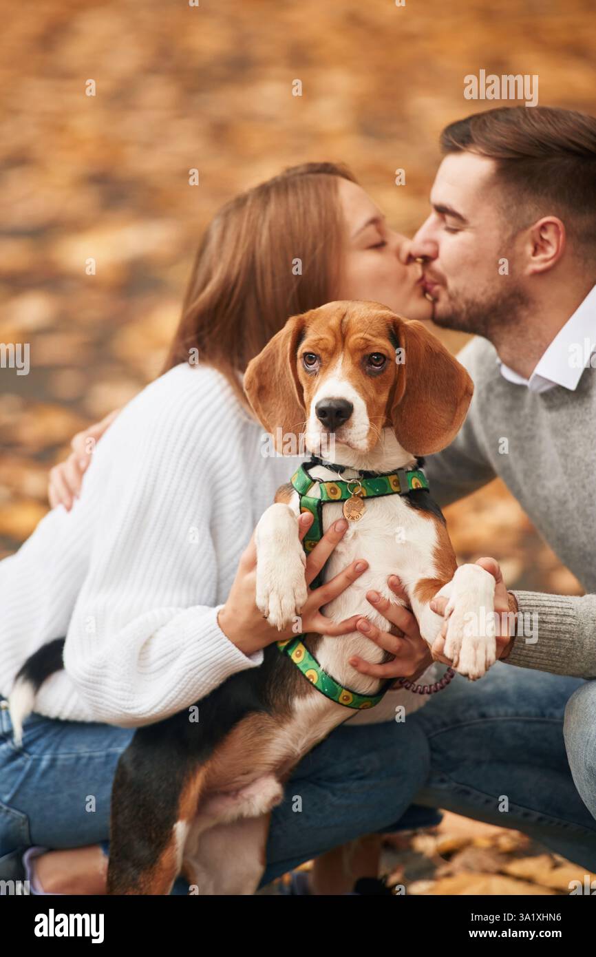 Kissing each other. Lovely couple are with their cute dog outdoors ...