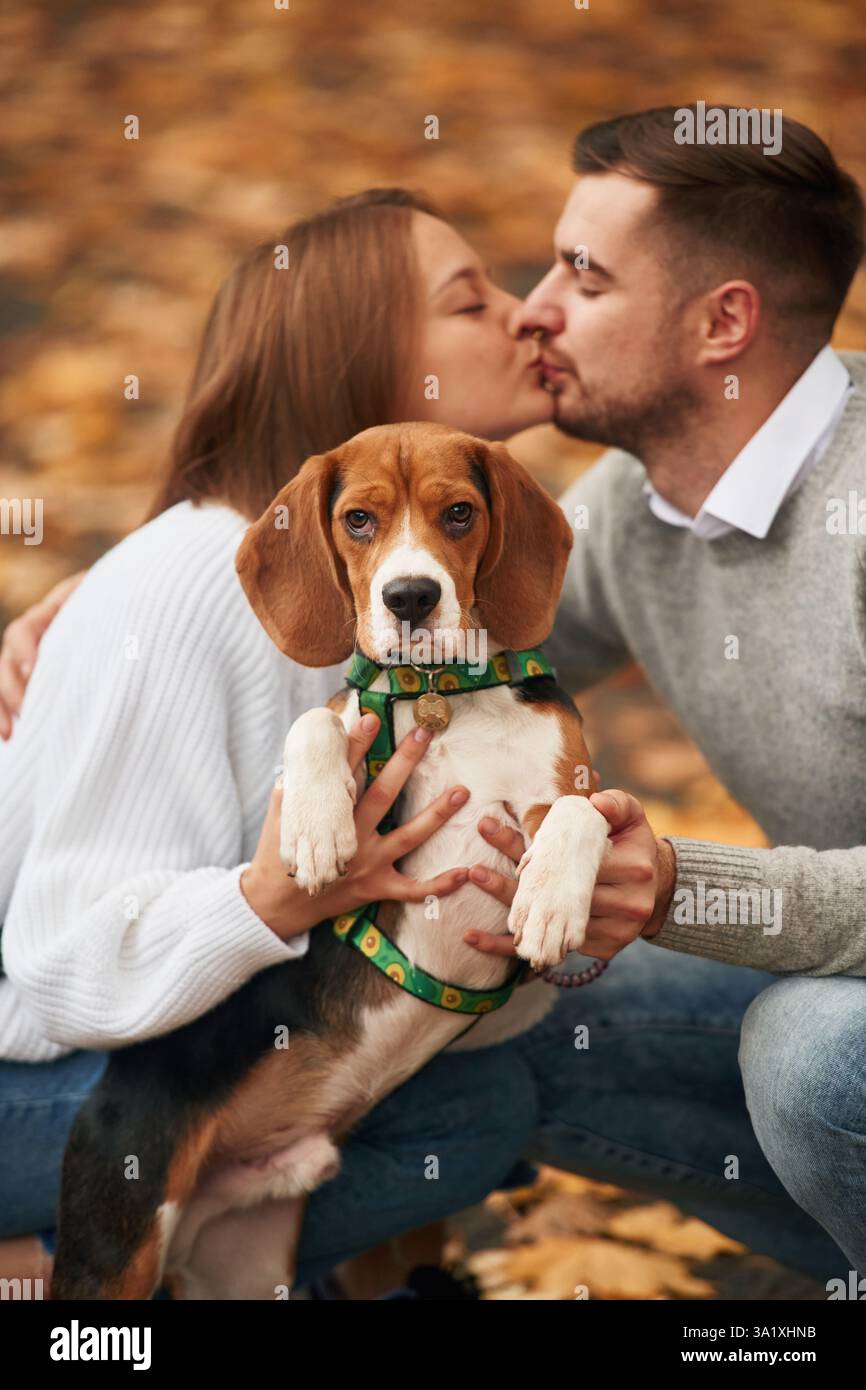 Kissing each other. Lovely couple are with their cute dog outdoors ...