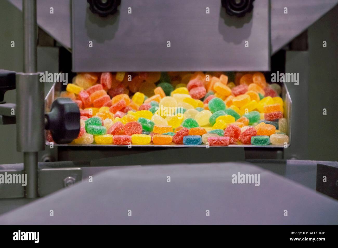 variety of colourful gummies coming out from the factory machine on a ...