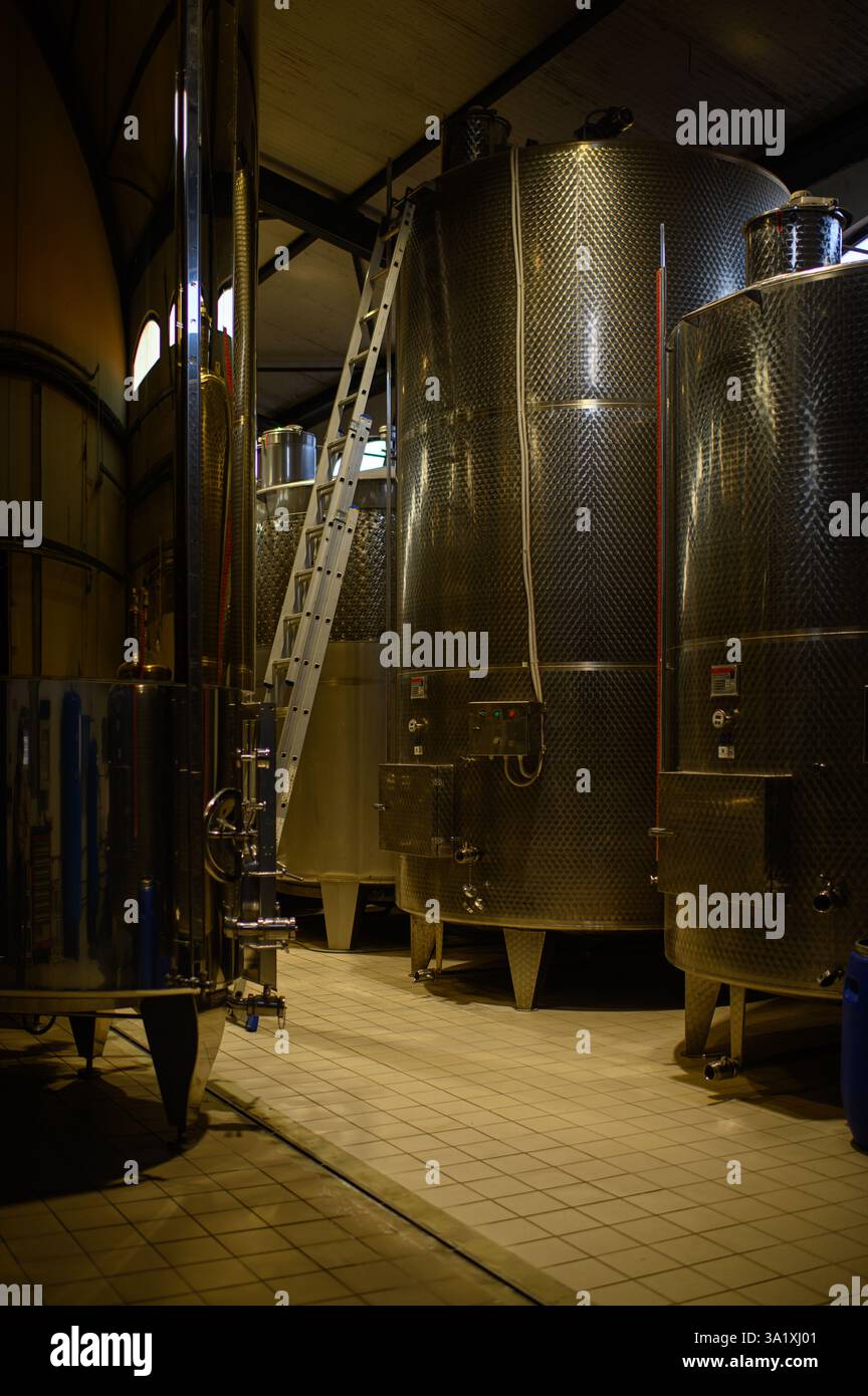 Metal Wine Fermentation Tanks – Corrosion-resistant tanks ensuring ...