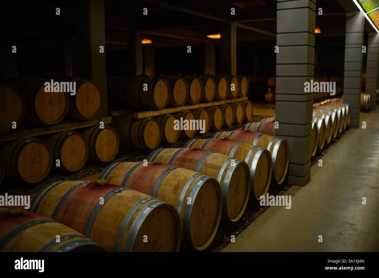 A long row of wine barrels stretches through the winery’s underground ...