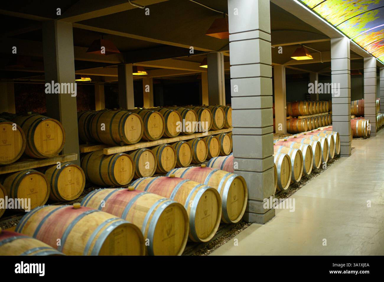 A long row of wine barrels stretches through the winery’s underground ...