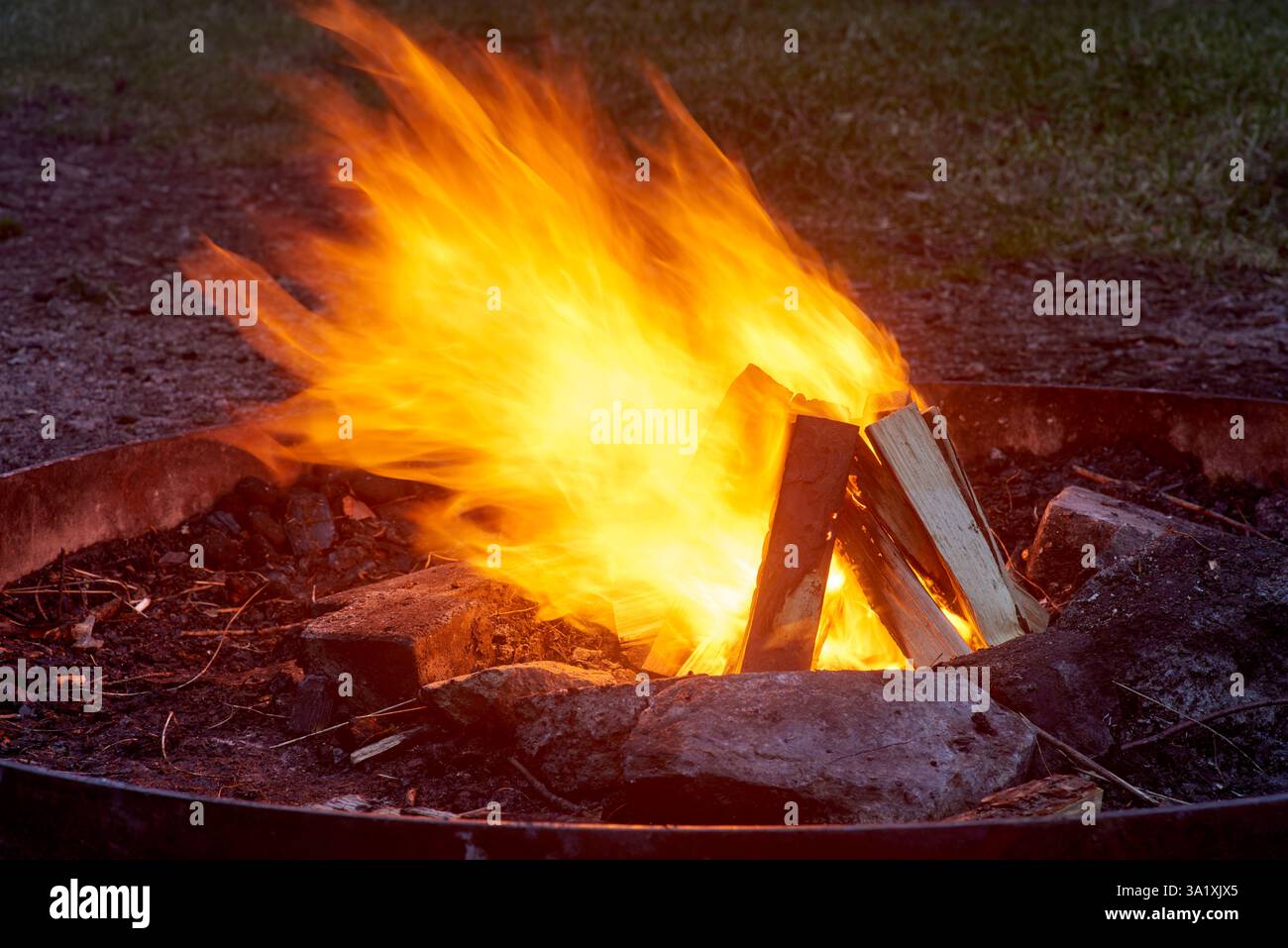 Vibrant campfire flames illuminate dark wilderness night with bright ...
