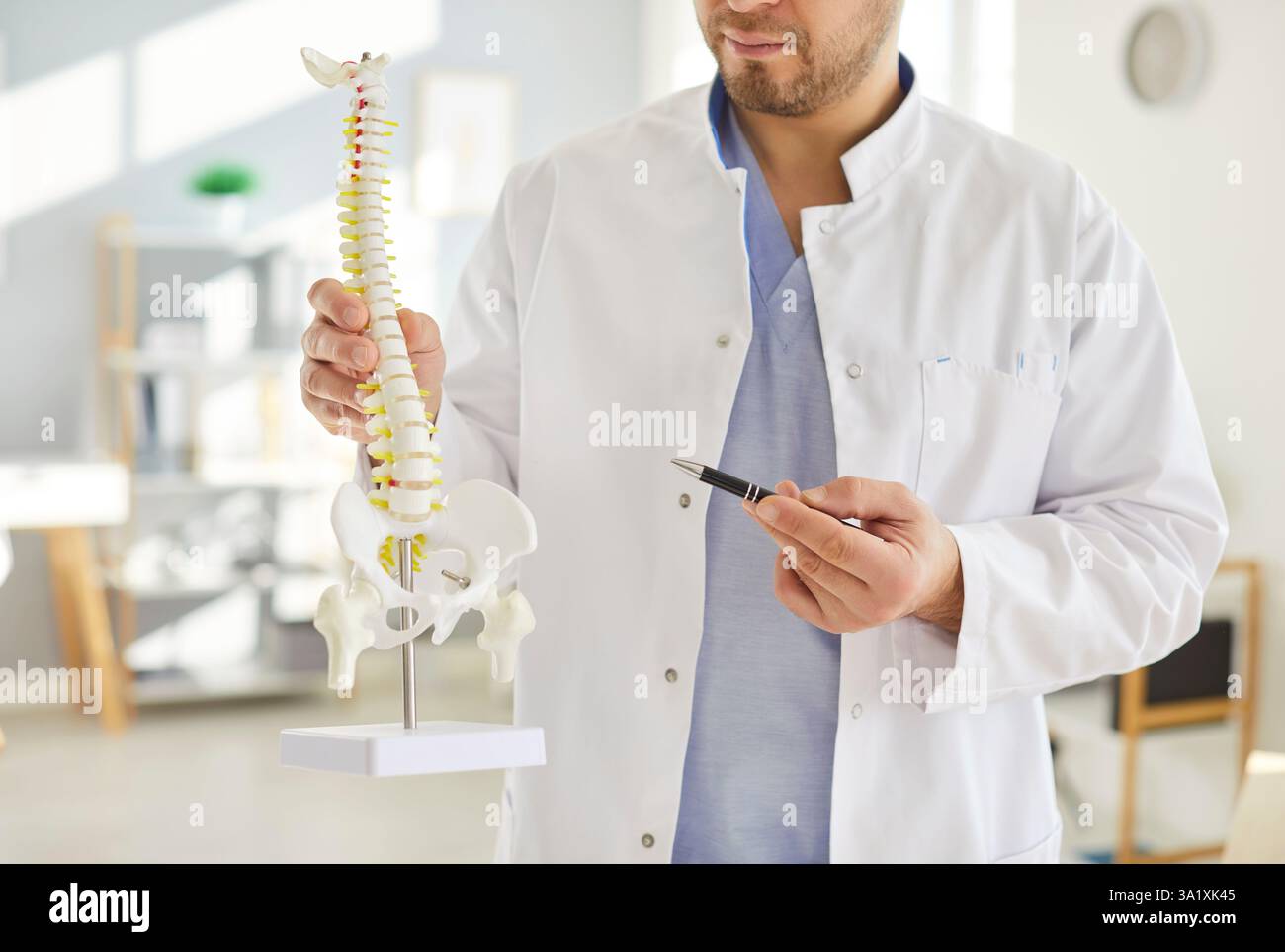 Orthopedist doctor holding spinal cord model, spine pain treatment ...