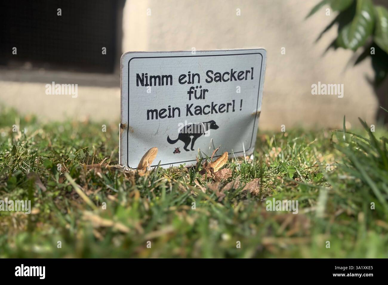 Schild: PRIVATGRUNDSTUECK HIER IST KEIN HUNDEKLO auf einer Gruenflaeche ...