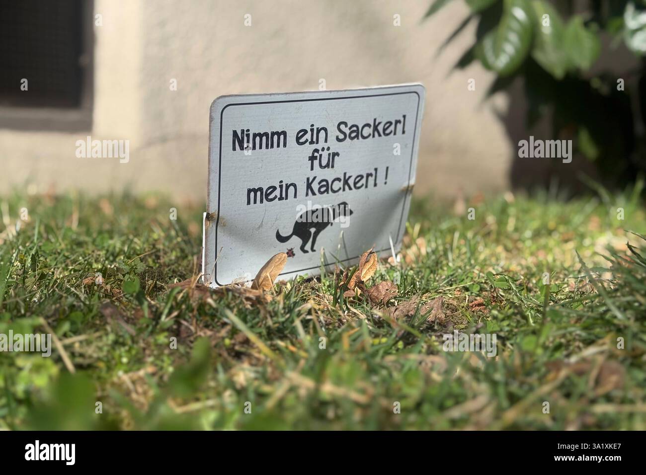 Schild: PRIVATGRUNDSTUECK HIER IST KEIN HUNDEKLO auf einer Gruenflaeche ...