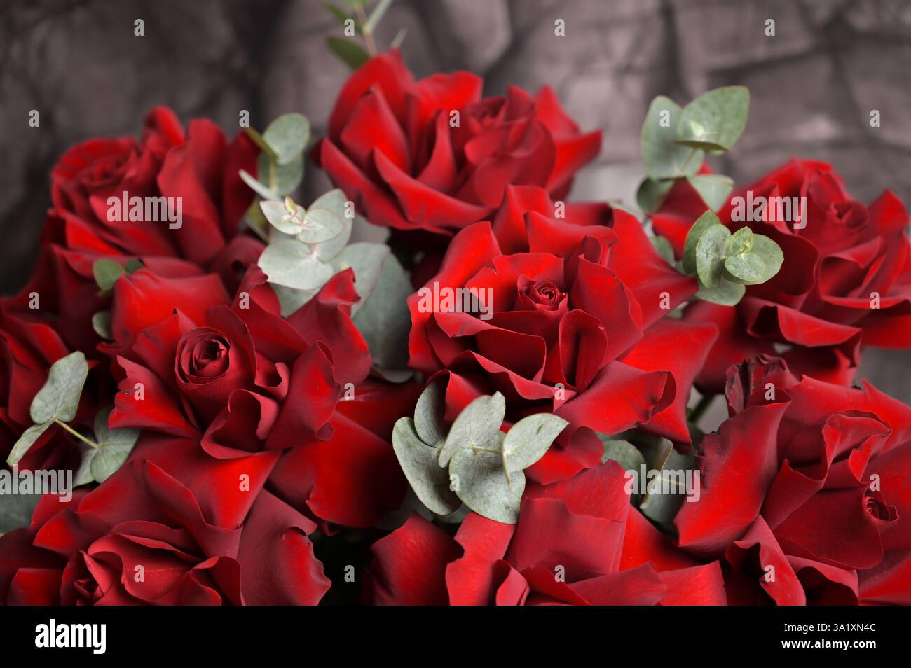 Bouquet of red roses with eucalyptus on black dark relief background ...