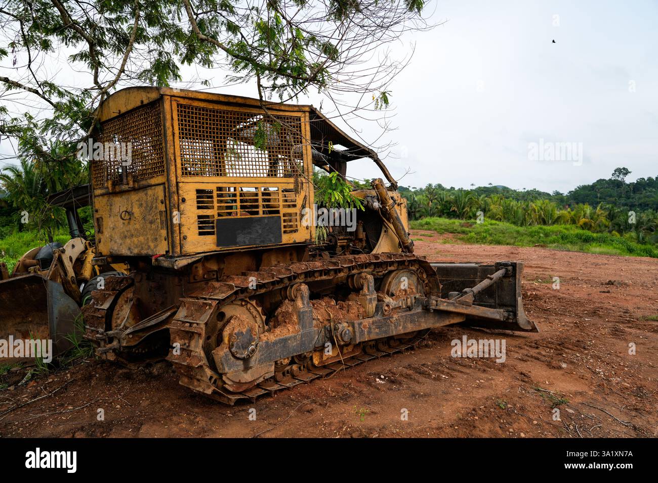 Tractor used to cut down trees in illegal deforestation in the Amazon ...