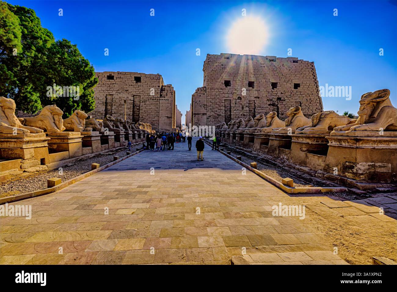 Sphinxes entrance karnak temple hi-res stock photography and images - Alamy