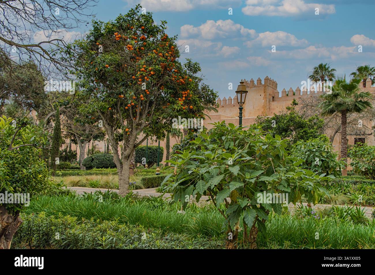 Andalusian gardens in Udayas kasbah. Kasbah of the Udayas is a small ...