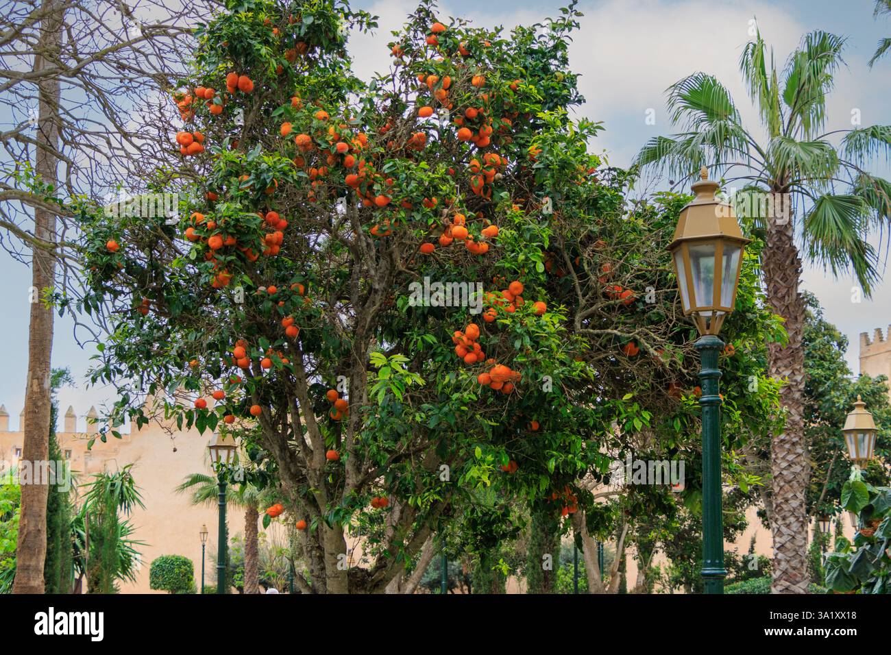 Andalusian gardens in Udayas kasbah. Kasbah of the Udayas is a small ...
