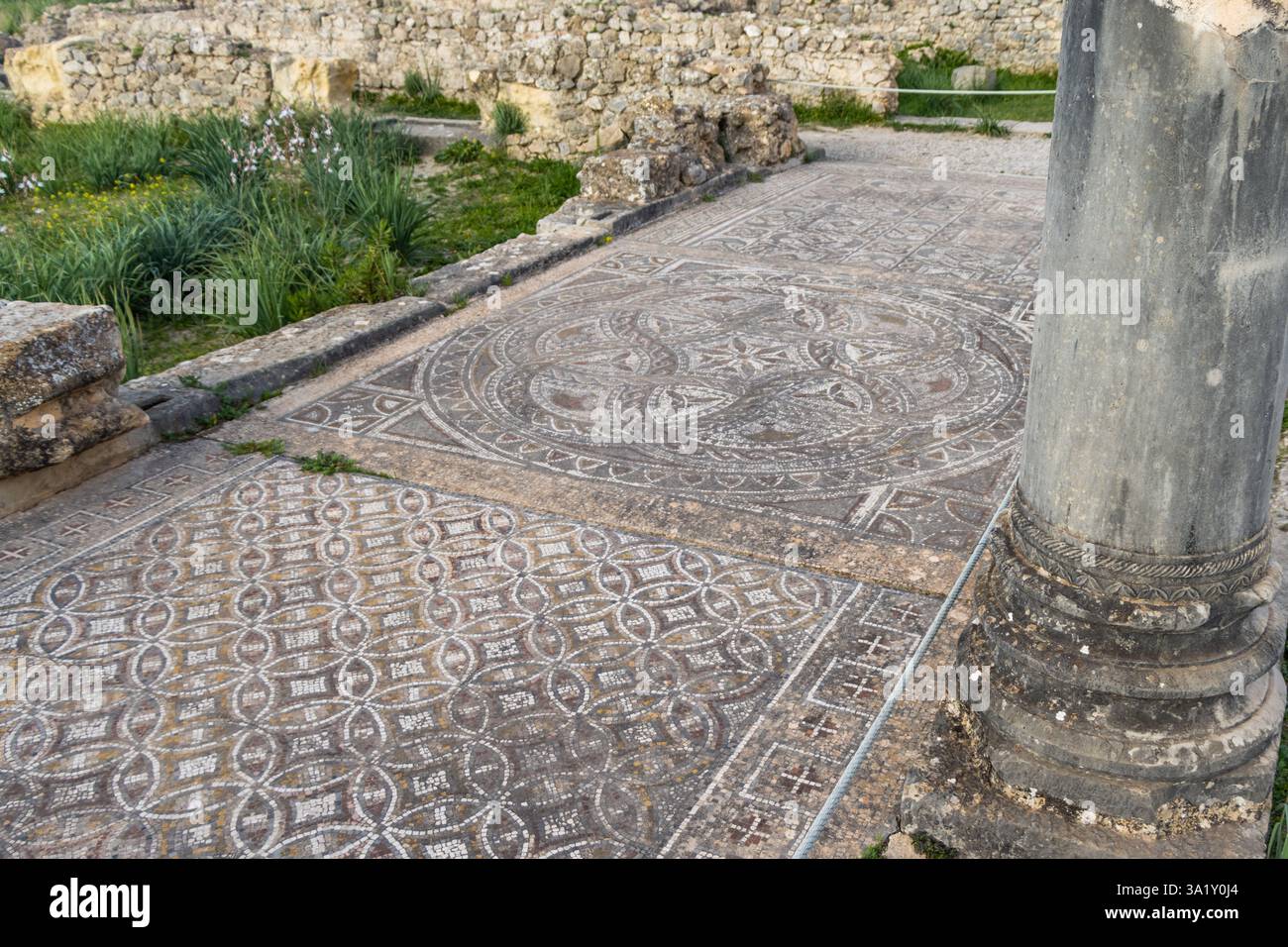 Floor mosaic in Orpheus house at archaeological Site of Volubilis ...