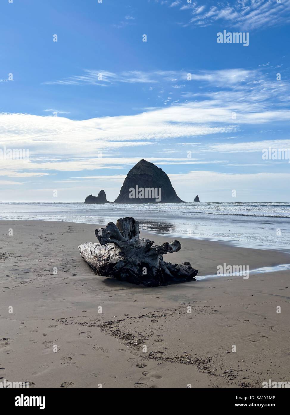 Haystack Rock and Driftwood Beach Scene Stock Photo - Alamy