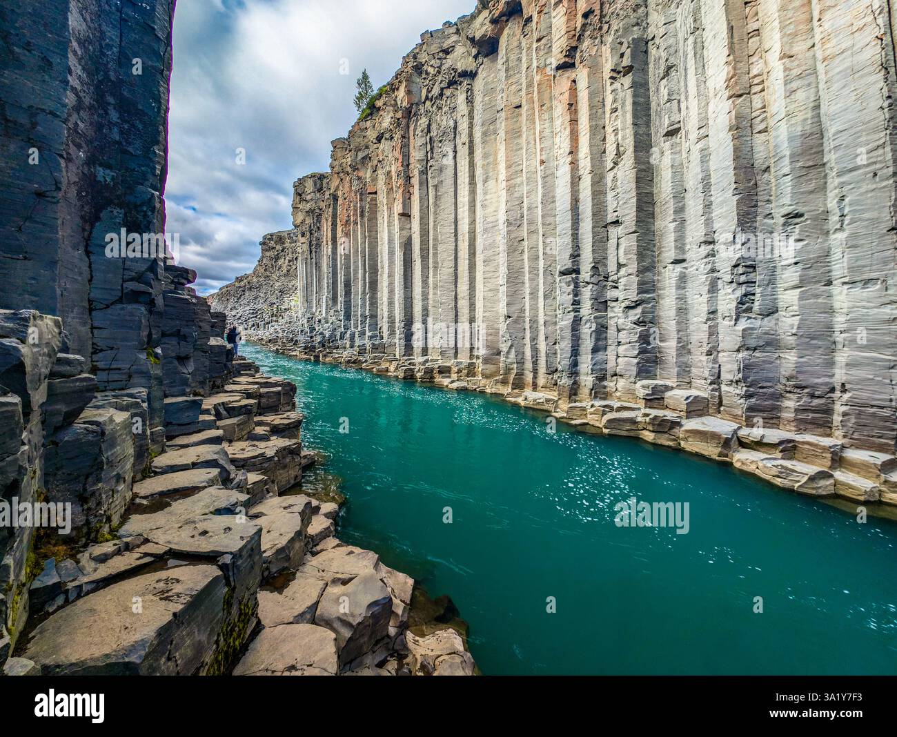 A scenic view of Studlagil Canyon in Iceland with basalt columns and a turquoise river flowing ...