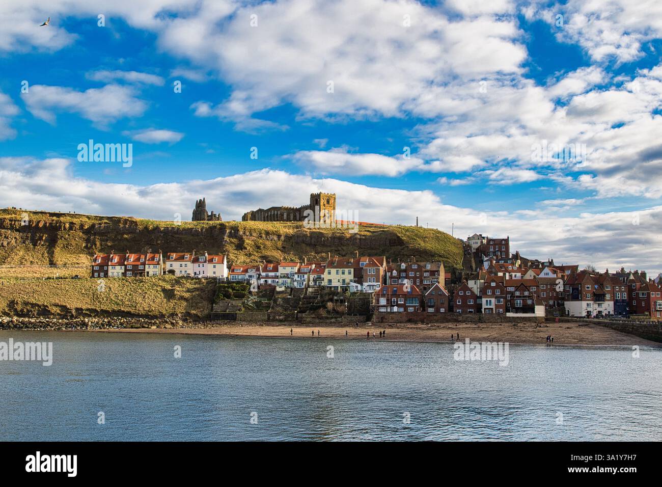 Coastal townscape featuring rows of houses along a beach and hillside ...