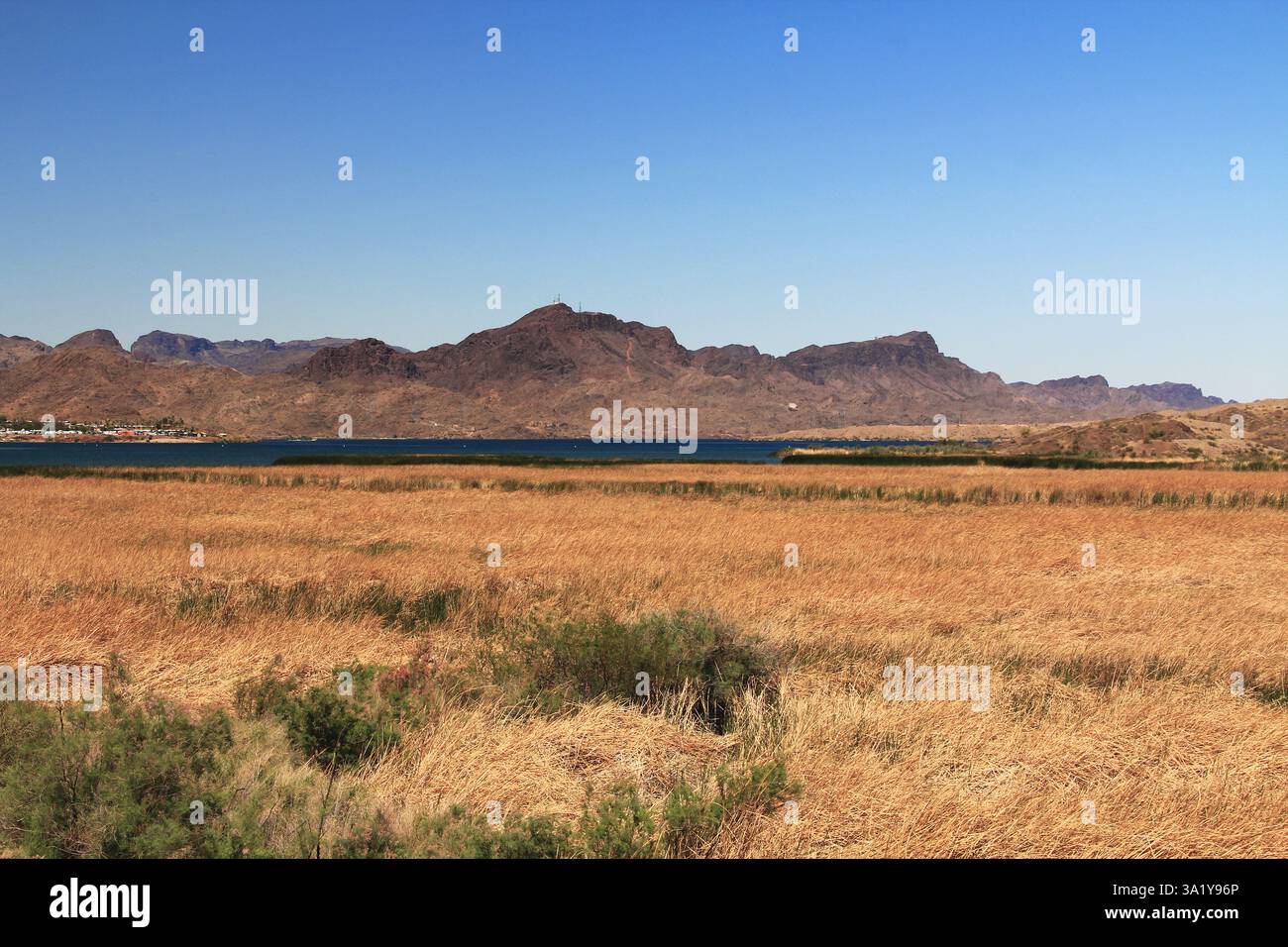 Bill Williams River Wildlife Refuge near Lake Havasu City, Arizona ...