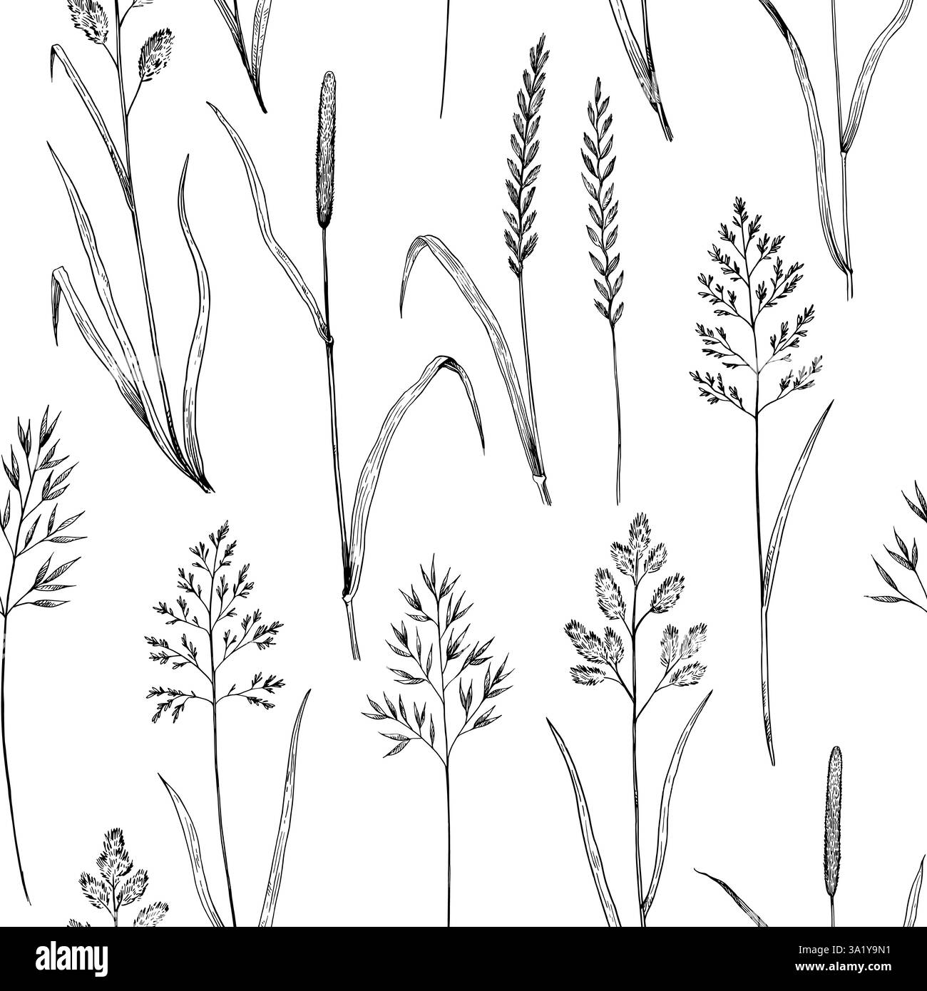 Seamless pattern with meadow grass. Ink drawing of wild cereals. Vector ...