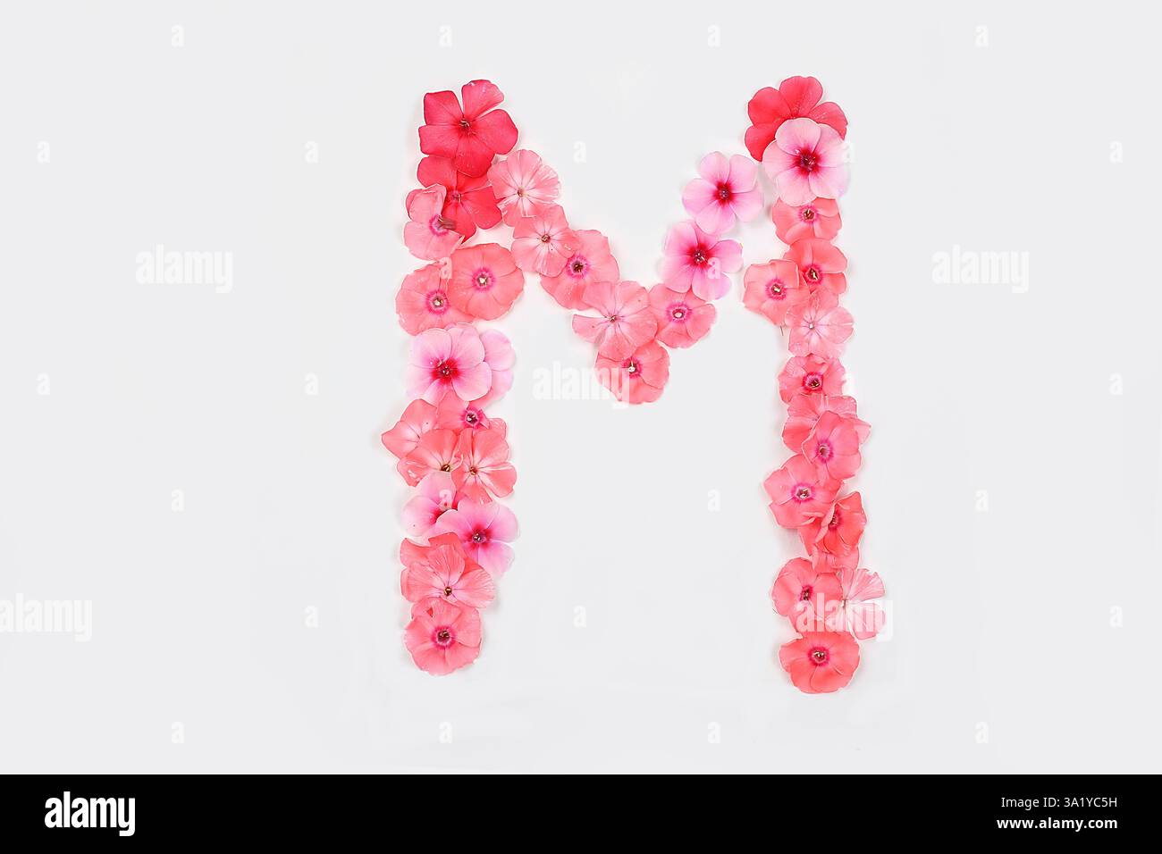 Letter M made from real fresh flowers. Creative floral font concept ...