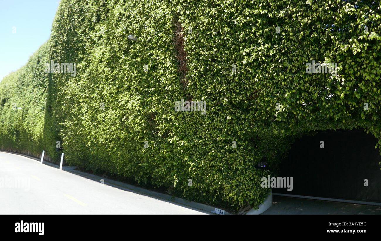 Beverly Hills, California, USA 9th March 2025 Dancer/Actress Juliette ...